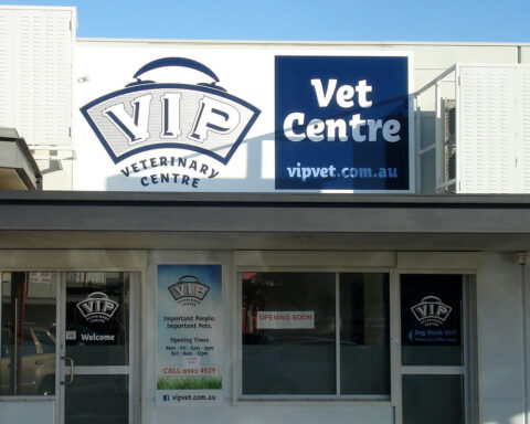 About Us | VIP Veterinary Centre In Landsdale