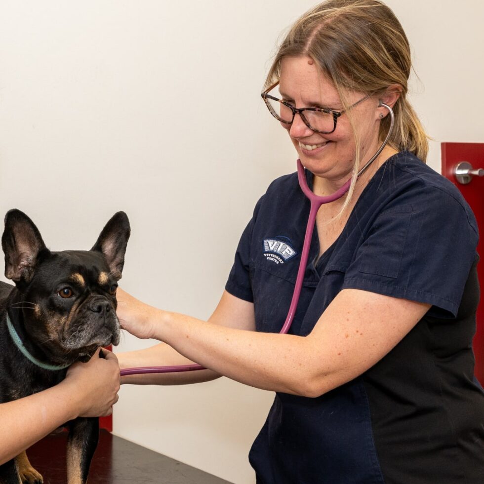 Veterinarian In Landsdale, WA 6065 | VIP Veterinary Centre In Landsdale